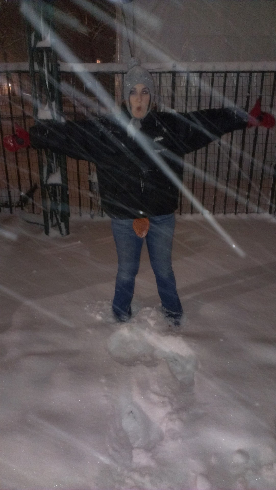 Blizzard Biomechanics (aka snow angels) - Carl Jamilkowski